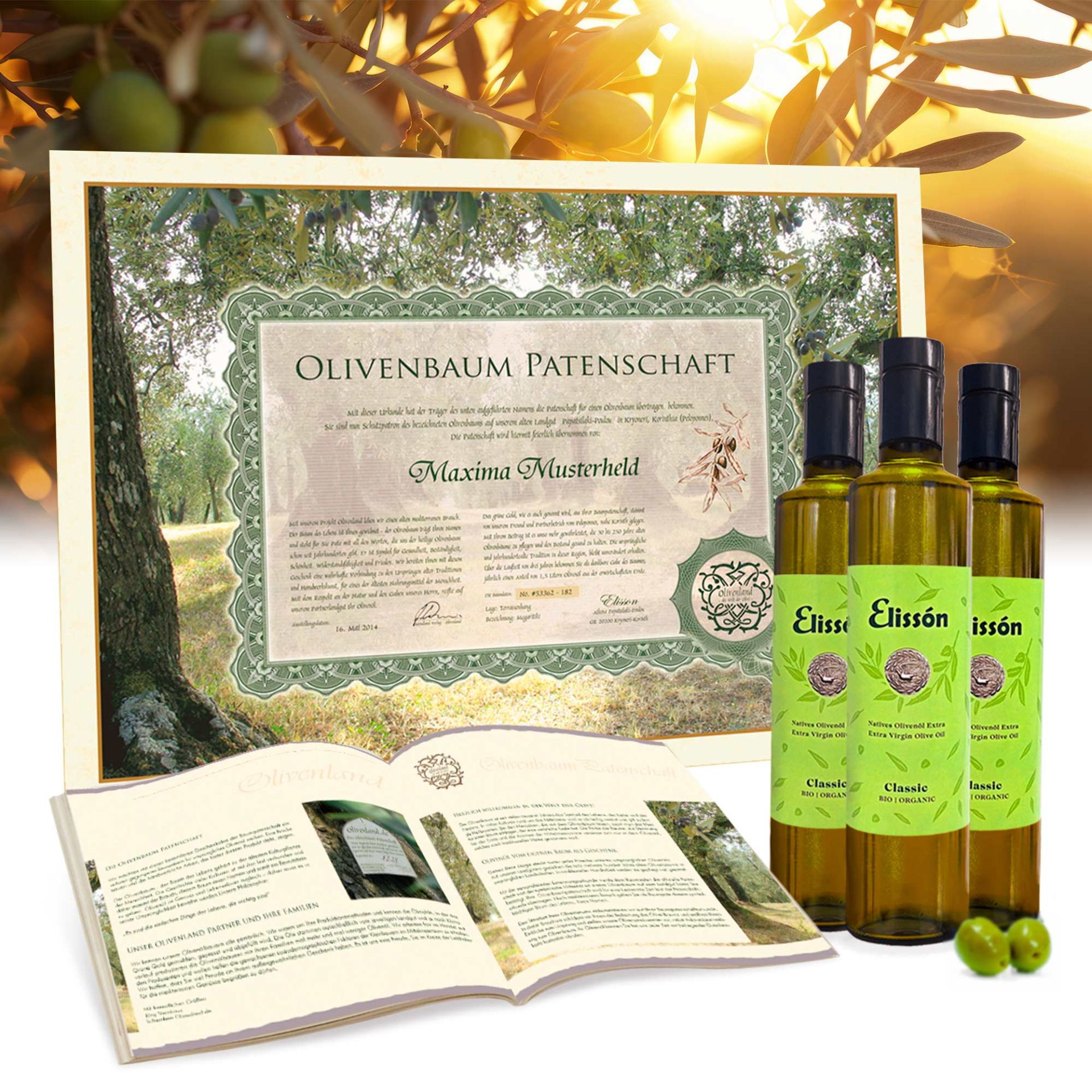 Magische IQ Box - Originelle Geschenkverpackung zum Knobeln