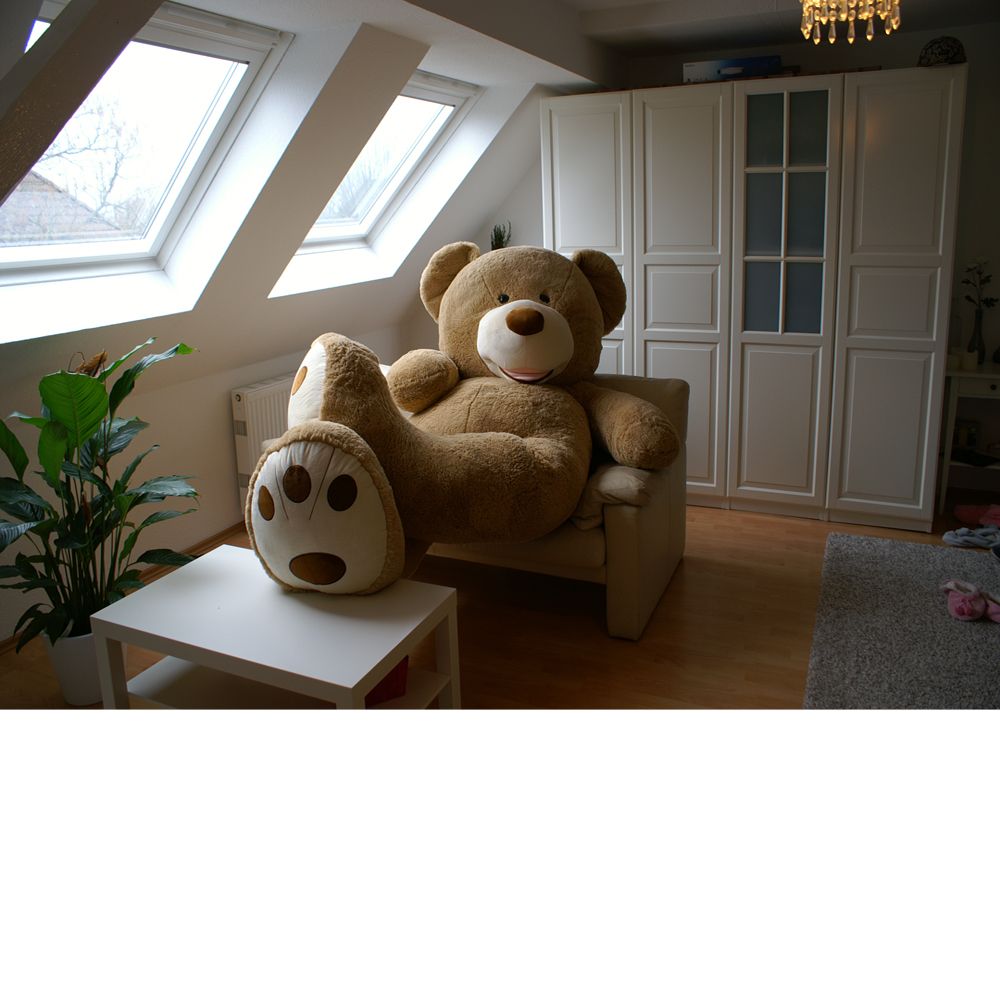 Flauschiger Riesen Teddybär für daheim - XXL 240 cm 26 kg